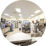 Drug Substance Process Development - Catalent Biologics