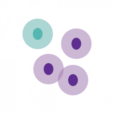 Cell & Gene Therapy - Catalent Biologics