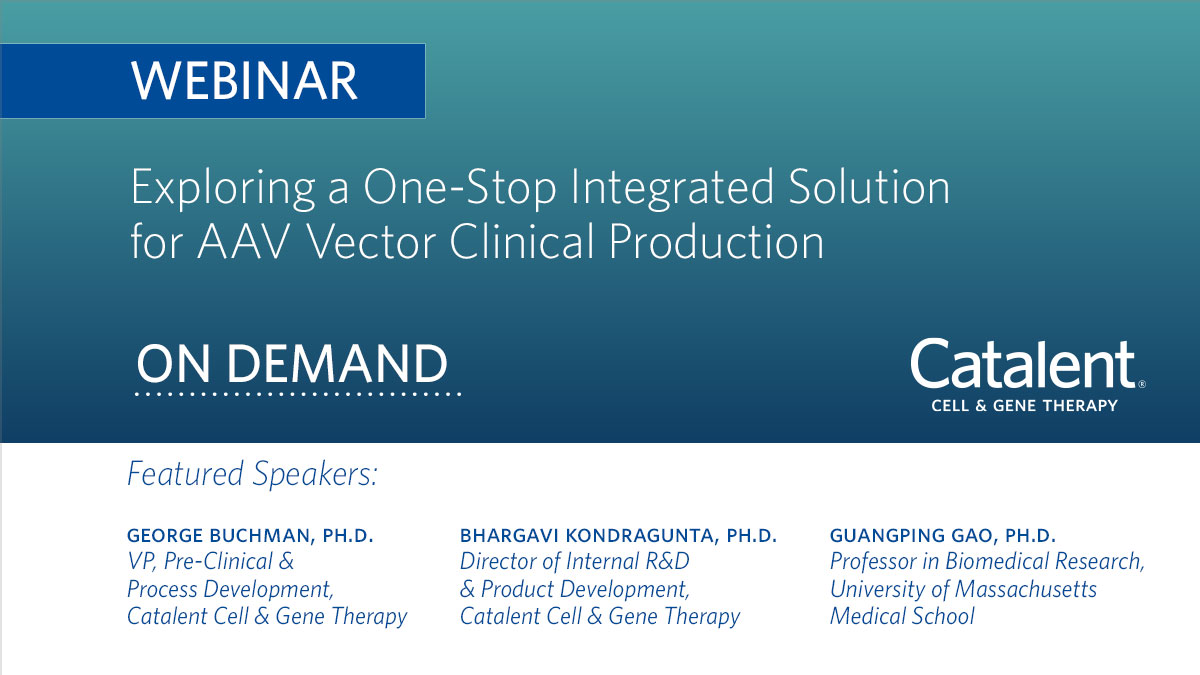 Exploring a One-Stop Solution for AAV Vector Clinical Production