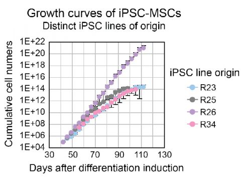 iPSC-Derived MSCs | Catalent Cell Therapy CDMO